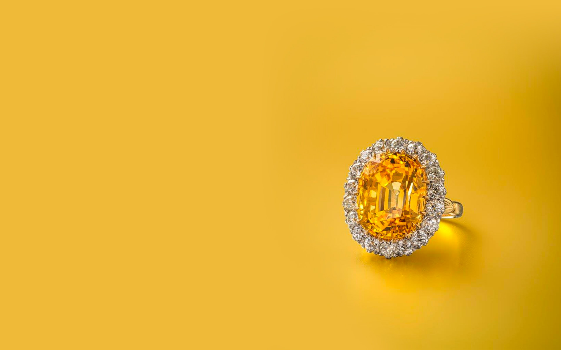 Homepage - Flower & Maricar